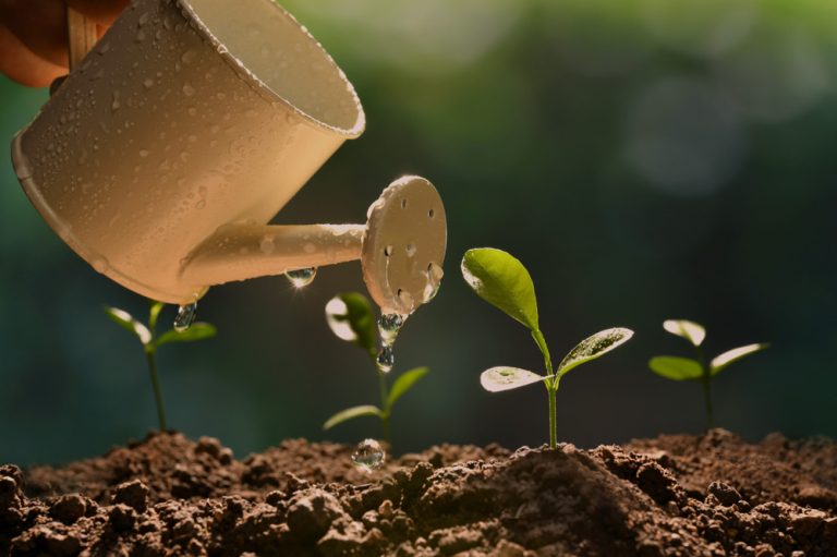 Vision Films are Envision, Engage, Execute, and Evolve. - Best Video ...